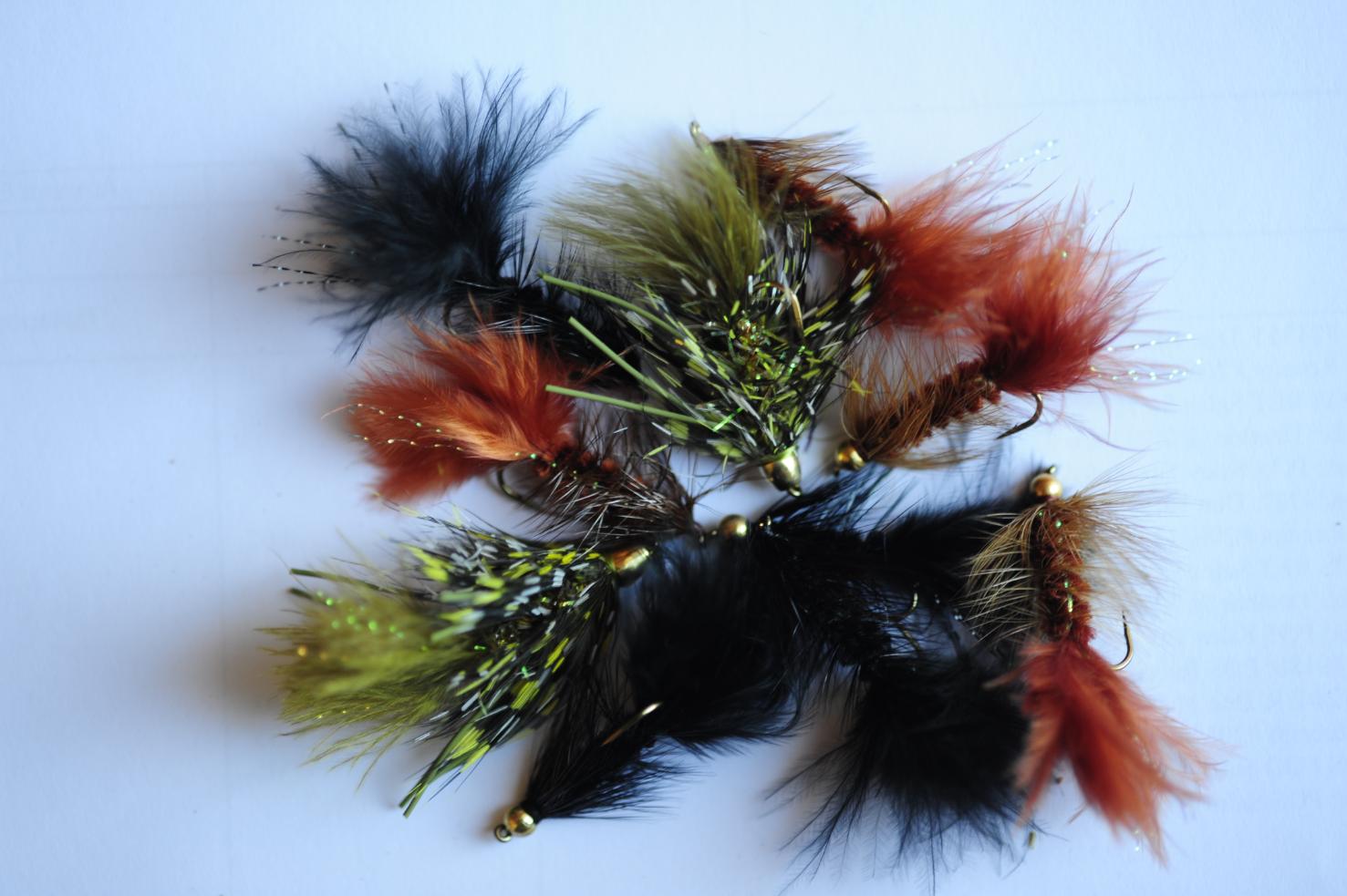 Fly Shop & Boat Rentals | Lees Ferry Anglers