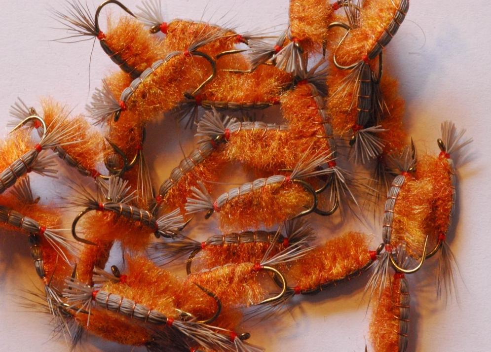 Fly Shop & Boat Rentals | Lees Ferry Anglers