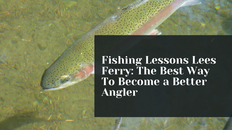 Fishing Lessons Lees Ferry: The Best Way To Become a Better Angler ...